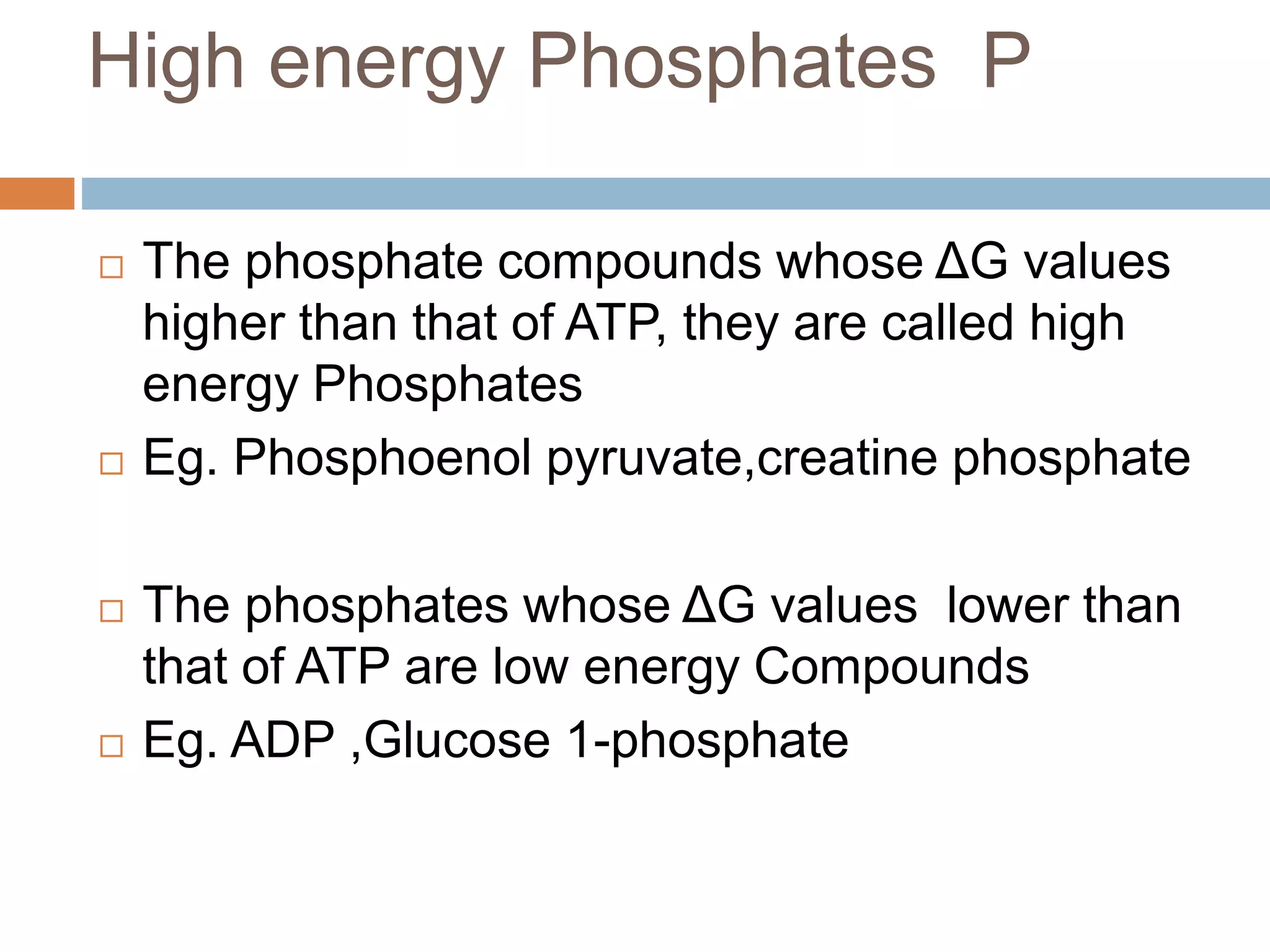 Bioenergetics | PPTX