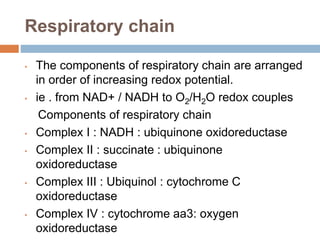 Bioenergetics | PPTX