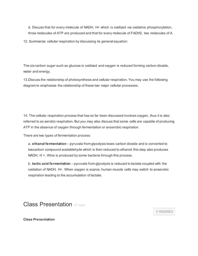 Bioenergetics lesson 1 | PDF