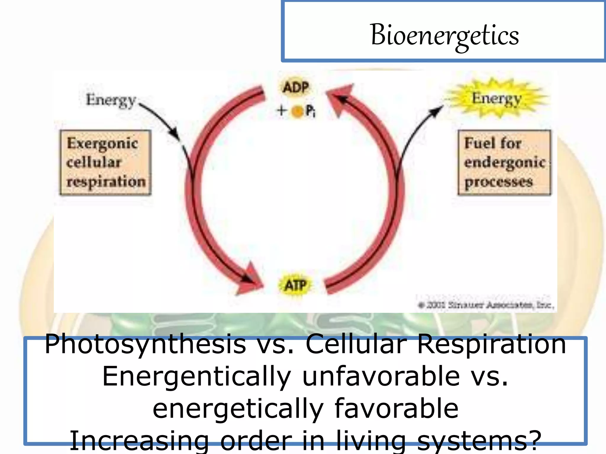 Bioenergetics, metabolism and enzymes | PPTX