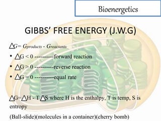 Bioenergetics, metabolism and enzymes | PPTX