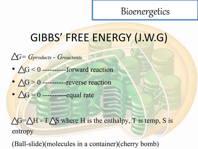 Bioenergetics, metabolism and enzymes | PPTX