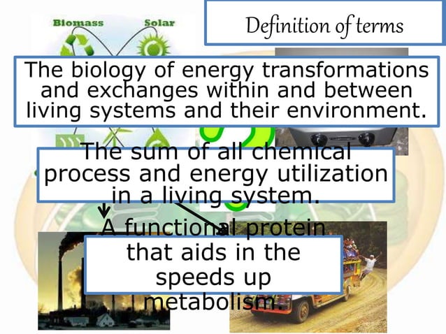 Bioenergetics, metabolism and enzymes | PPTX