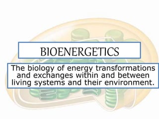 Bioenergetics, metabolism and enzymes | PPTX