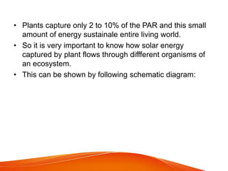 Bioenergetics of ecosystem | PPTX