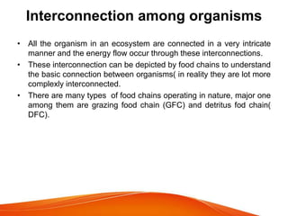 Bioenergetics of ecosystem | PPTX