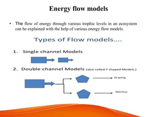 Bioenergetics of ecosystem | PPTX