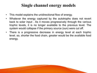 Bioenergetics of ecosystem | PPTX