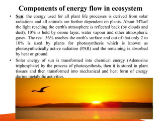 Bioenergetics of ecosystem | PPTX