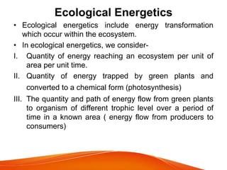 Bioenergetics of ecosystem | PPT
