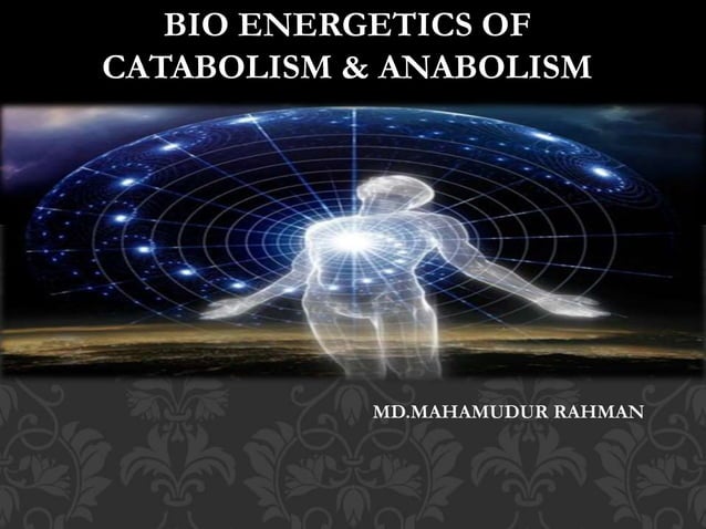 Bio energetics of metabolism | PPTX