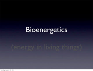 Bioenergetics (Photosynthesis And Respiration Overview) | PPT