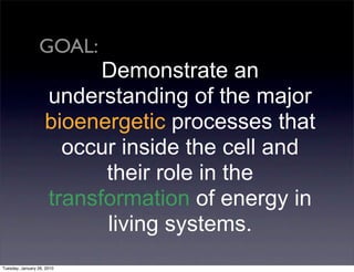 Bioenergetics (Photosynthesis And Respiration Overview) | PPT
