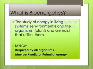 Bioenergetics and Laws of Thermodynamics | PPT