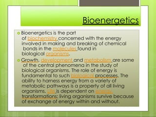 Bioenergetics and Laws of Thermodynamics | PPT