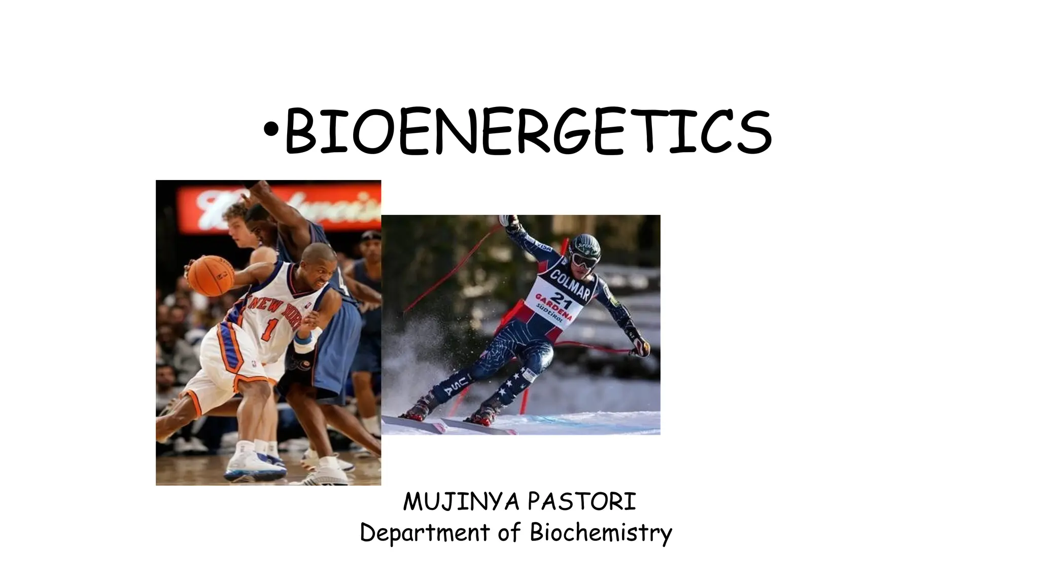 Bioenergetics ppt by mujinya pastori.pptx