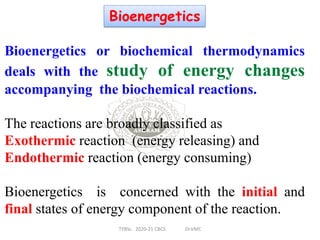 Bioenergetics | PDF