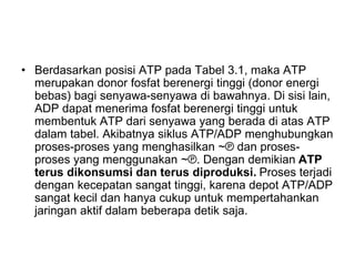 Bioenergetika, oksidasi biologi dan rantai respirasi | PPT