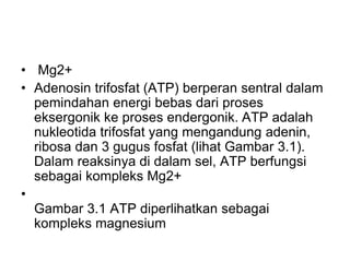 Bioenergetika, oksidasi biologi dan rantai respirasi | PPT
