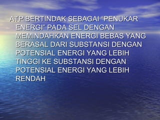 power point tentang bioenergetika termoinamika | PPT
