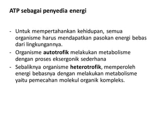 Bioenergetika revisi | PDF