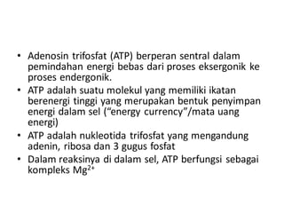 Bioenergetika revisi | PDF