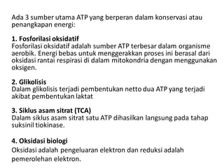 Bioenergetika revisi | PDF