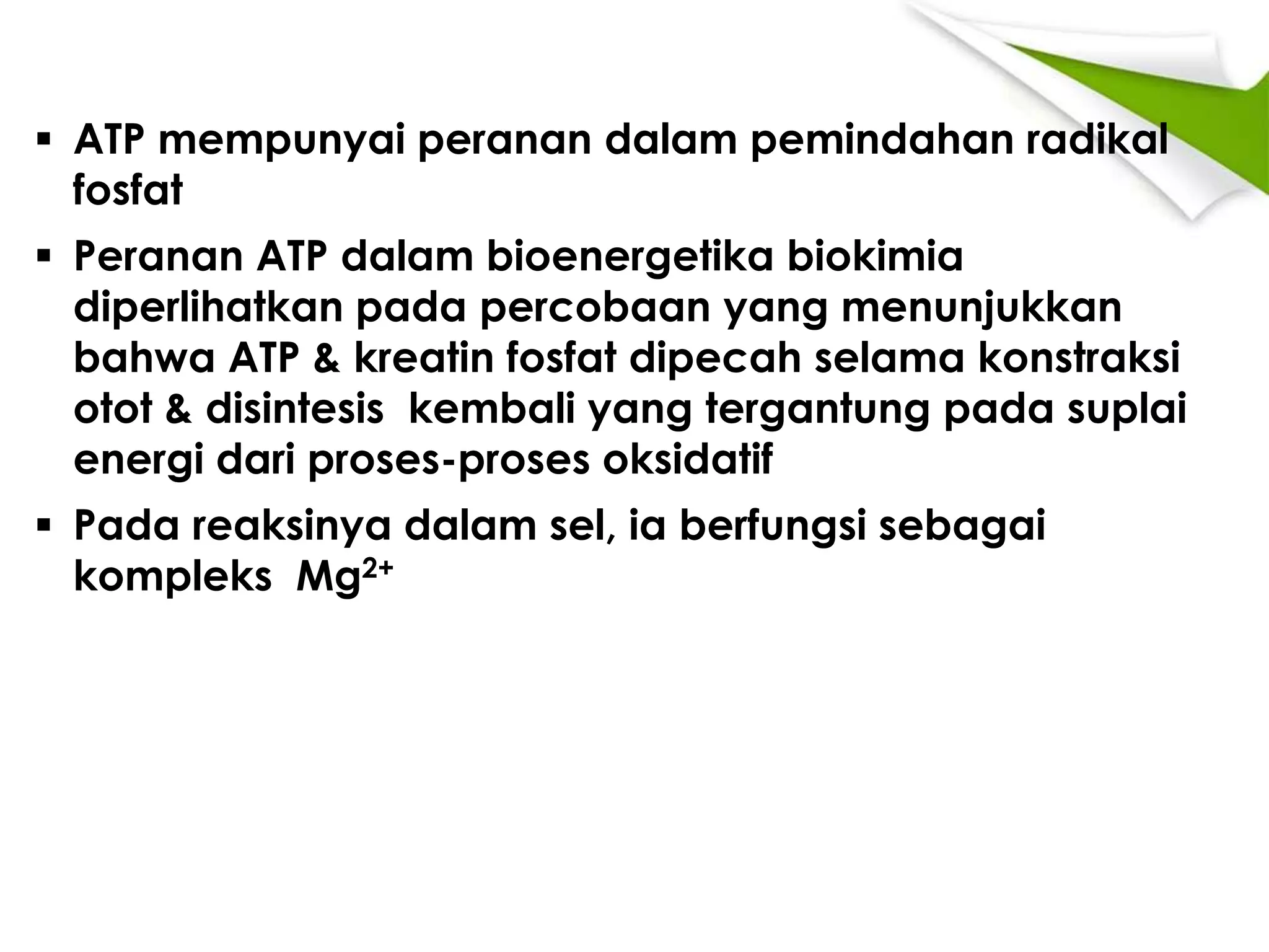 Bioenergitika | PPTX