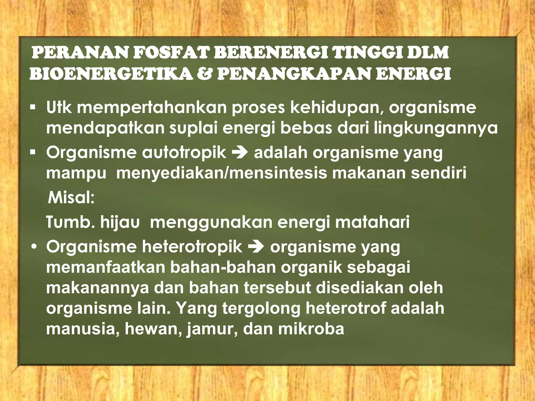 Bioenergitika | PPTX