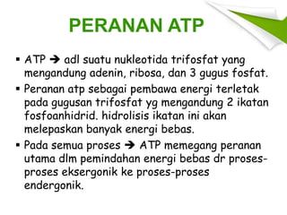 Bioenergitika | PPTX