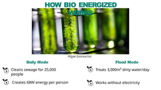Bio Energized From Waste to Energy | PPTX