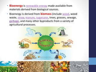 Bioenergy | PDF