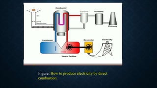 Bioenergy and biogas | PPTX