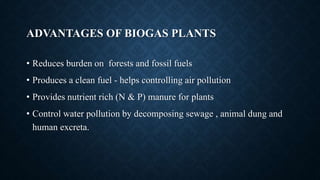 Bioenergy and biogas | PPTX