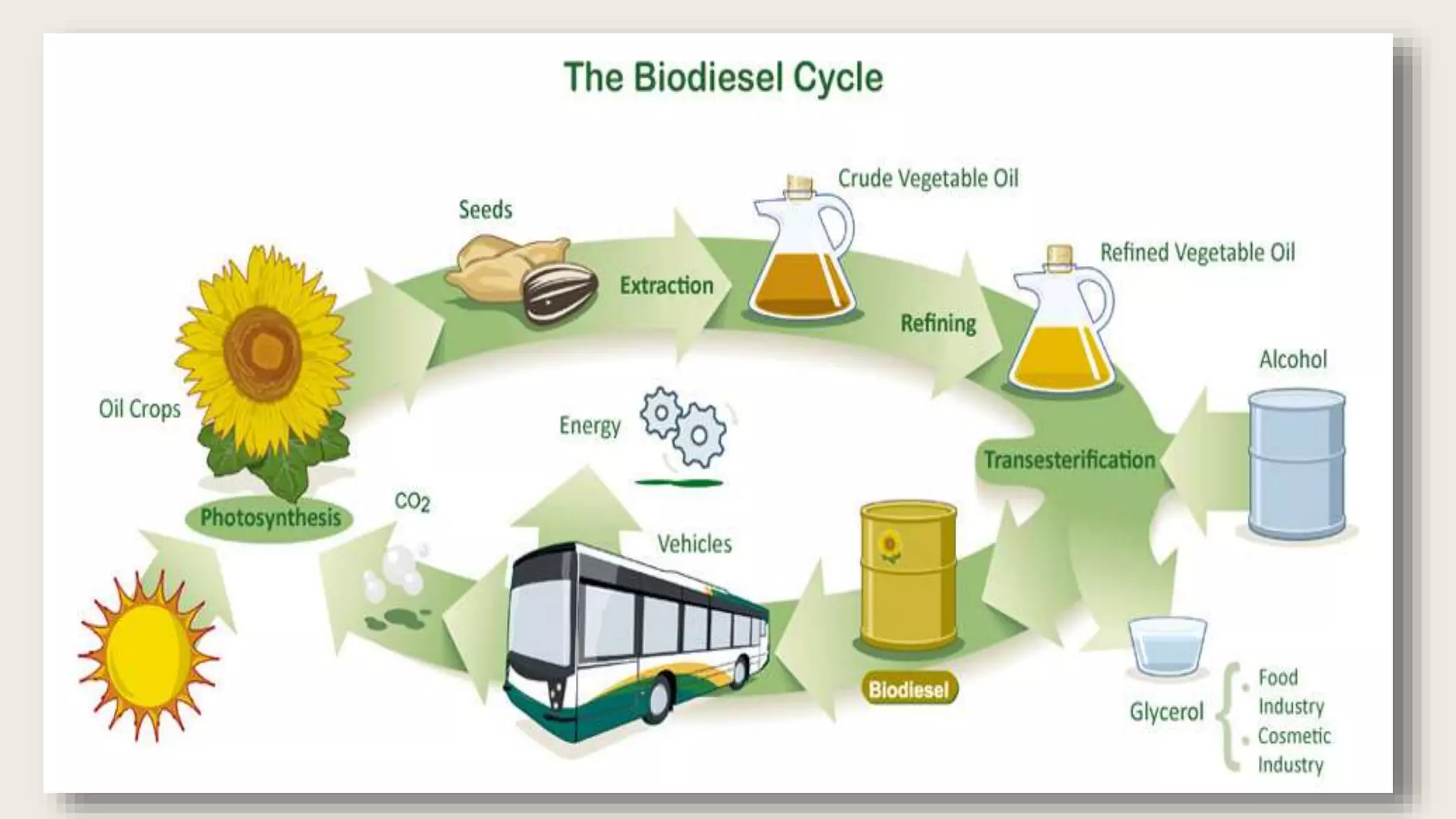 Bioenergy | PPTX