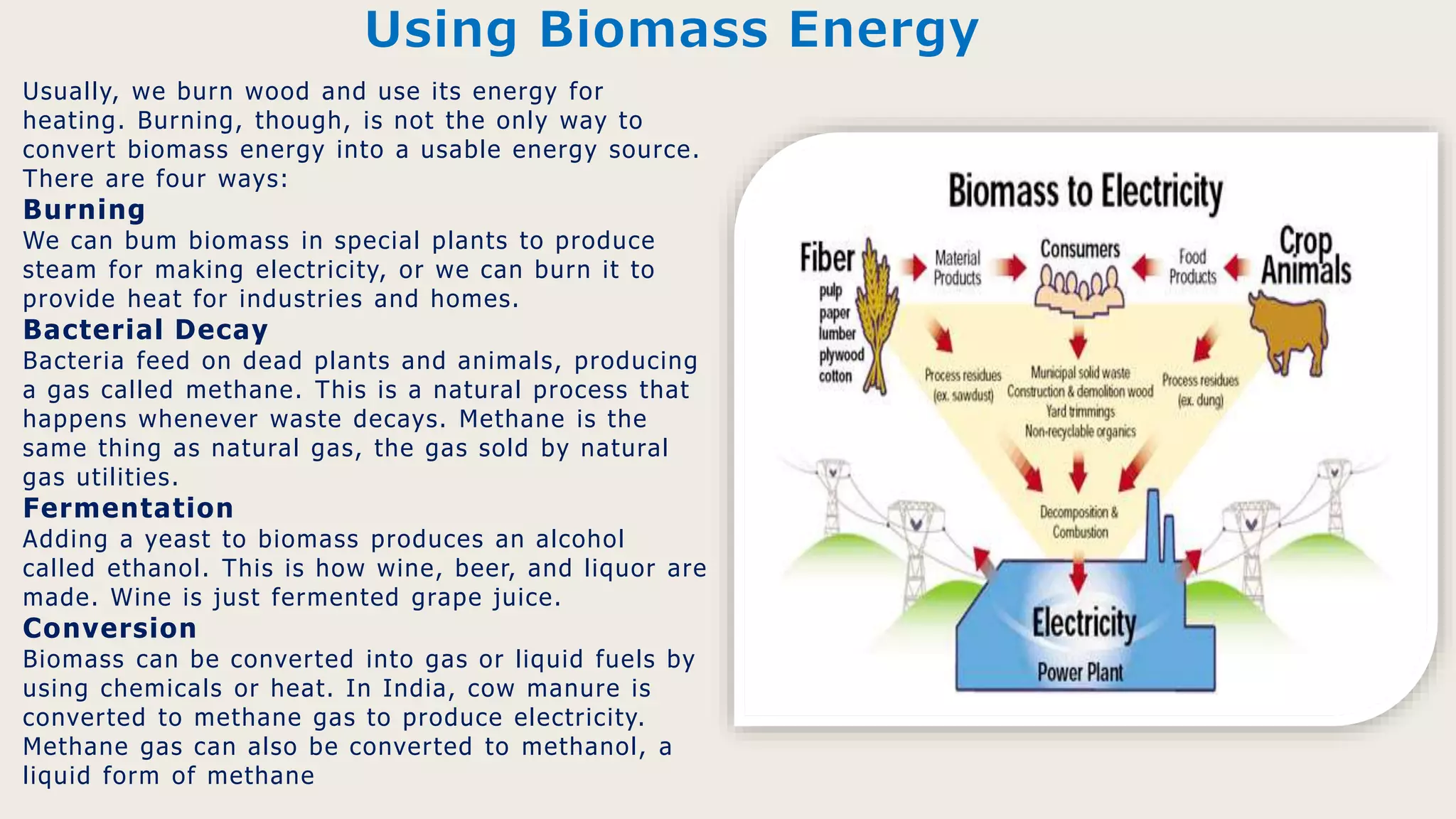 Bioenergy | PPTX