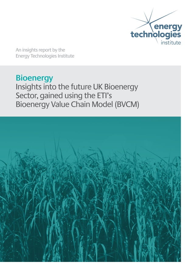 Bioenergy insights-into-the-future-uk-bioenergy-sector-gained-using-the ...