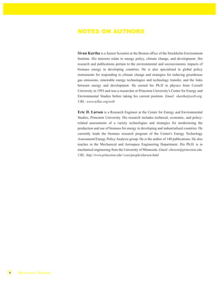 Bioenergy primer-undp | PDF
