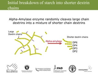 Session 2.3 Bioenergy and Cassava - Novozymes by Tuxen | PPT