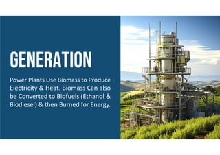 Bioenergy | PDF