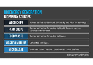 Bioenergy | PDF