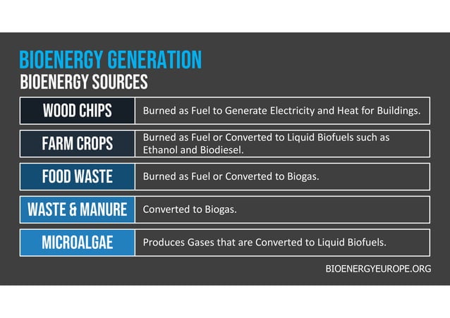 Bioenergy | PDF