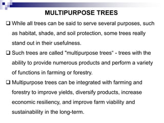 Bioenergy from woody biomass | PPT