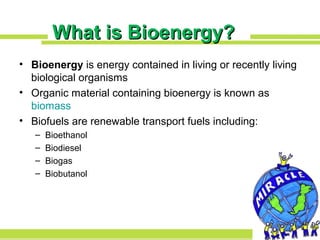 Bioenergypresentation 090624202023-phpapp02 | PPT