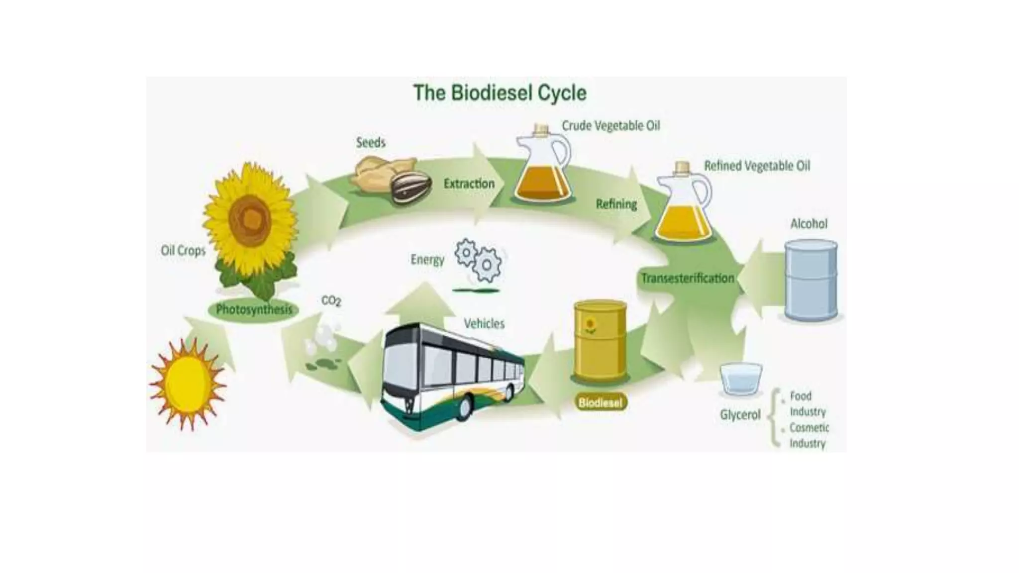 Bioenergy Technologies_Chapter 2-Biofuels.pptx