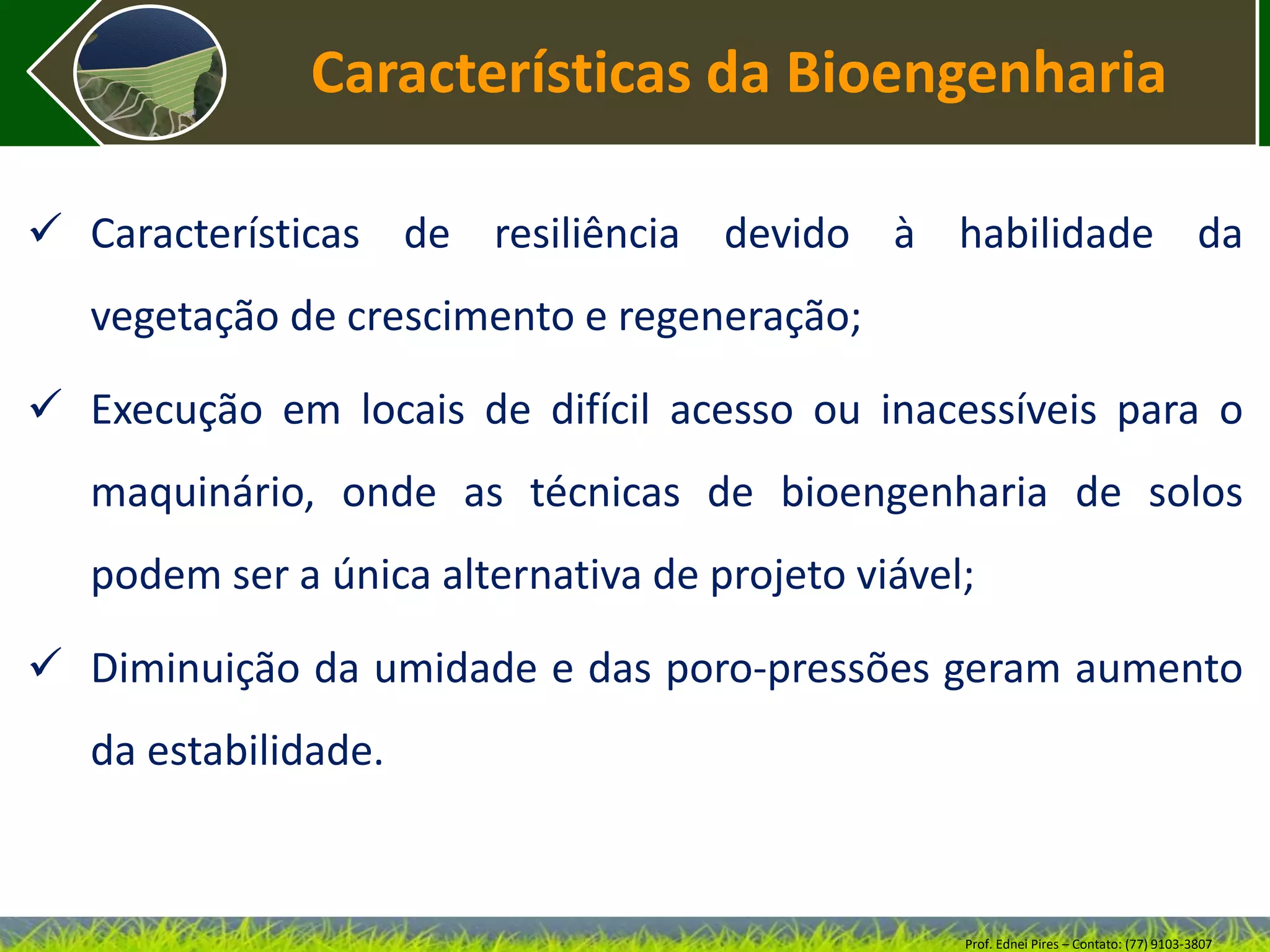 Bioengenharia de solos na estabilidade de taludes | PPT