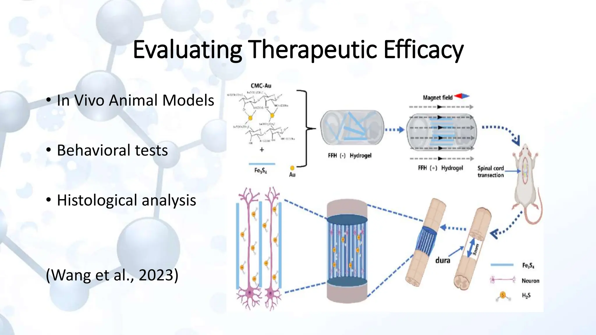 Bioengineered Hydrogels With Tunable Stiffness For Modulating Stem Cell Fate In Neural