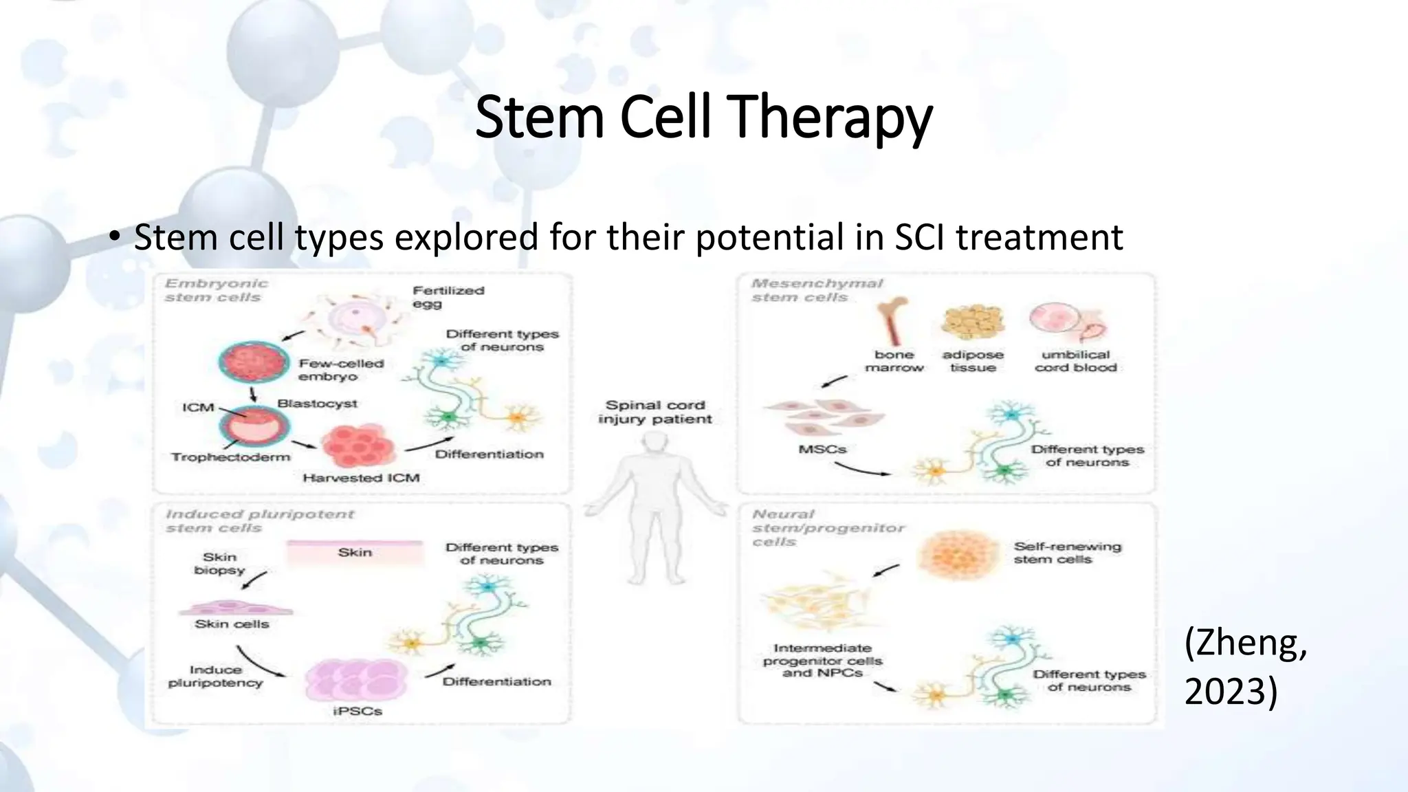 Bioengineered Hydrogels With Tunable Stiffness For Modulating Stem Cell Fate In Neural
