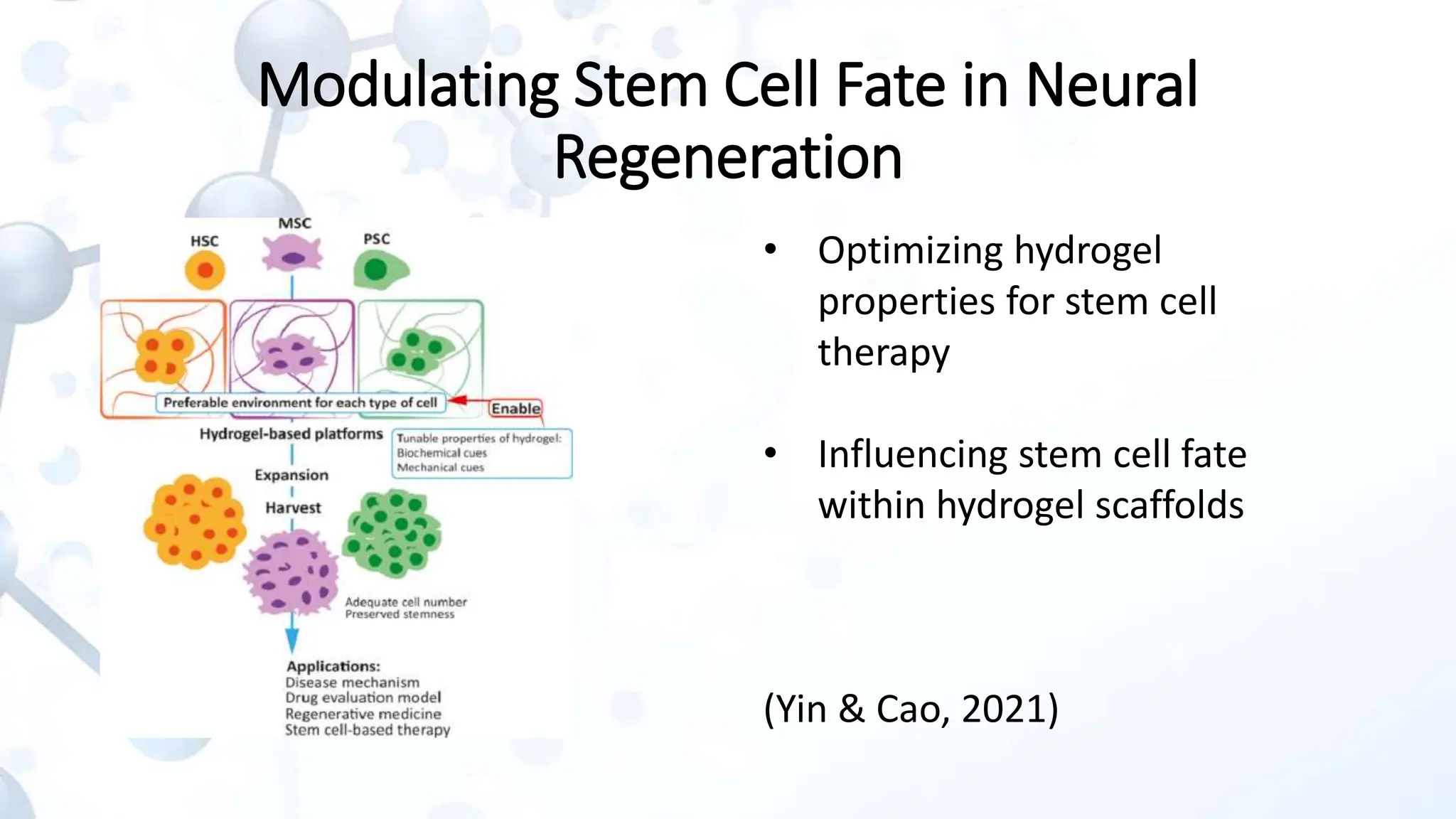 Bioengineered Hydrogels With Tunable Stiffness For Modulating Stem Cell Fate In Neural