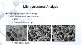 Bioengineered Hydrogels with Tunable Stiffness for Modulating Stem Cell Fate in Neural ...